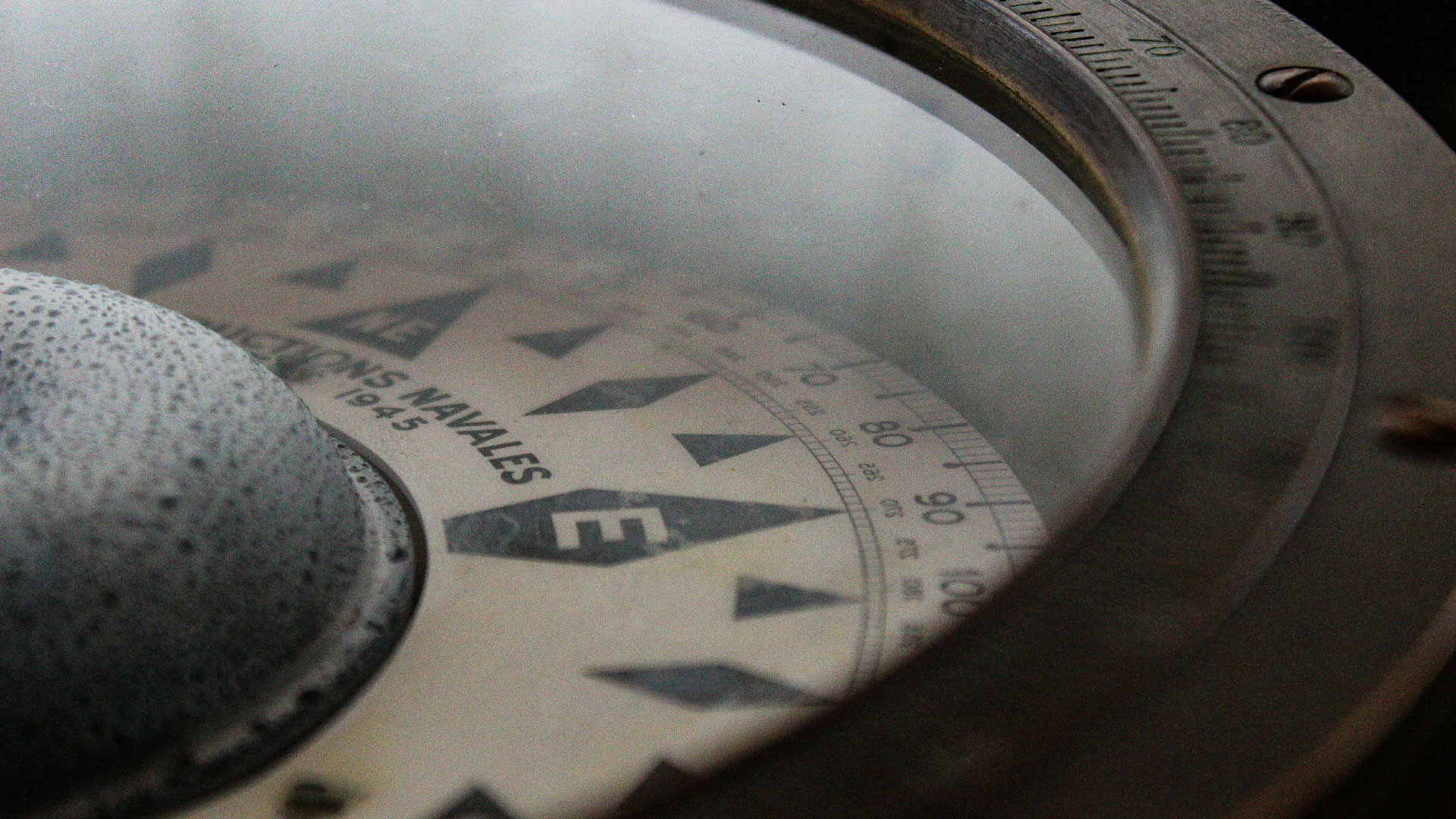 ECBE - Europäische Plattform nimmt Gestalt an